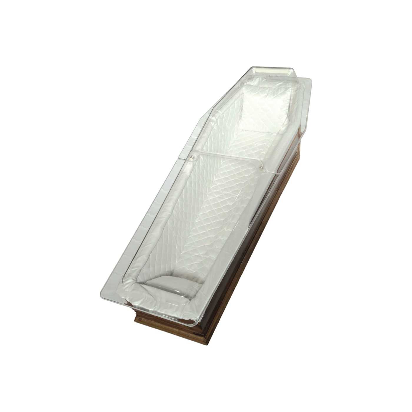 TRANSPARENT COFFIN COVER FOR CORPSE DISPLAY